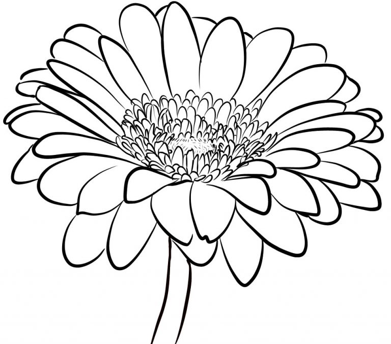 √Gambar Mewarnai Bunga Untuk Anak TK dan SD - Marimewarnai.com