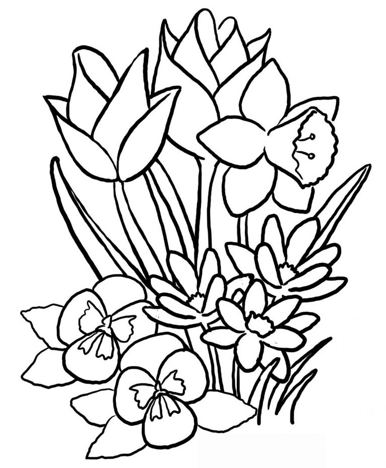 √Gambar Mewarnai Bunga Untuk Anak TK dan SD - Marimewarnai.com