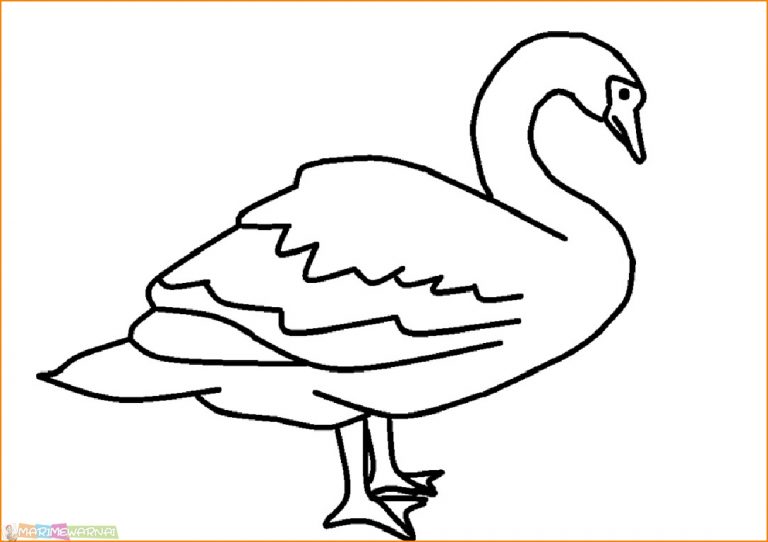 √22 Gambar Mewarnai Bebek Untuk Anak 2022 - Marimewarnai.com