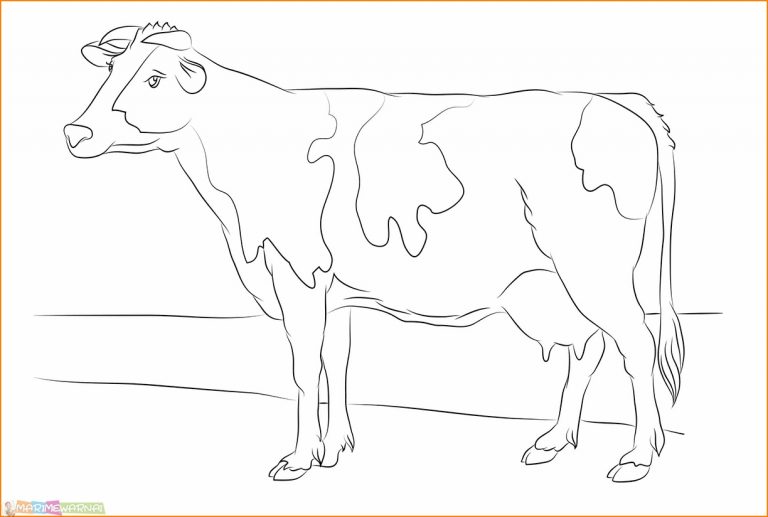 √18 Gambar Mewarnai Sapi Untuk Anak Terbaru 2022 - Marimewarnai.com