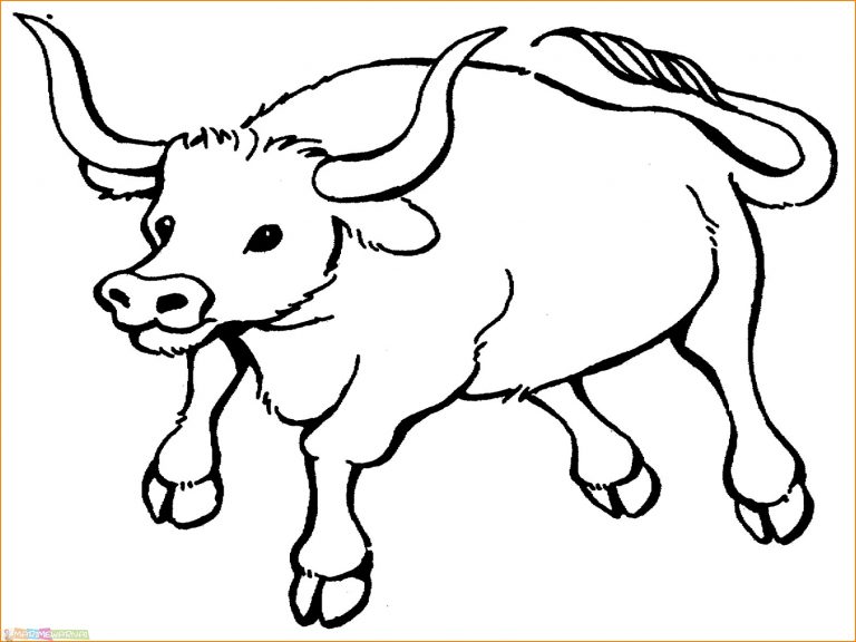 √18 Gambar Mewarnai Sapi Untuk Anak Terbaru 2022 - Marimewarnai.com