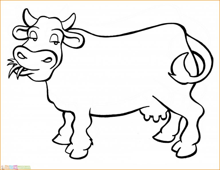 √18 Gambar Mewarnai Sapi Untuk Anak Terbaru 2022 - Marimewarnai.com