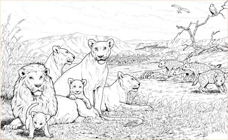 √30+ Mewarnai Gambar Singa Untuk TK, Paud, SD - Marimewarnai.com